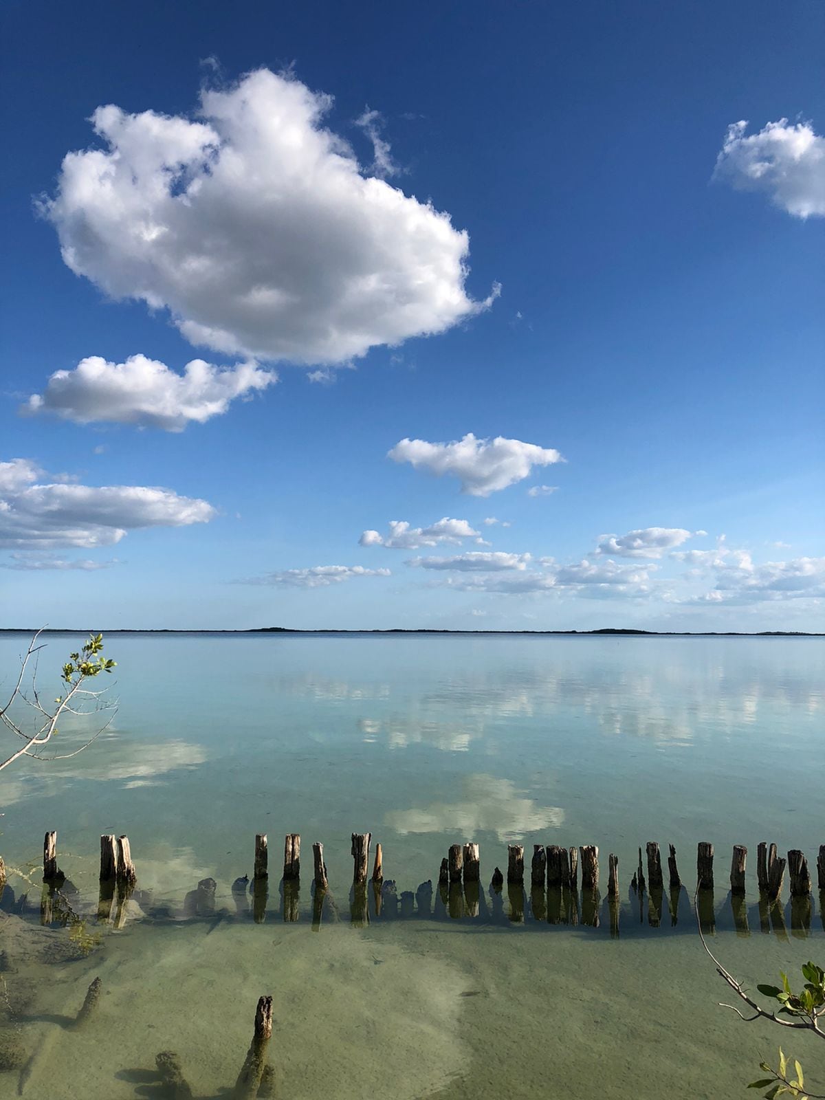 Tulum, Laguna Nopalitos, QRoo en José María Pino Suárez, Quintana Roo ...