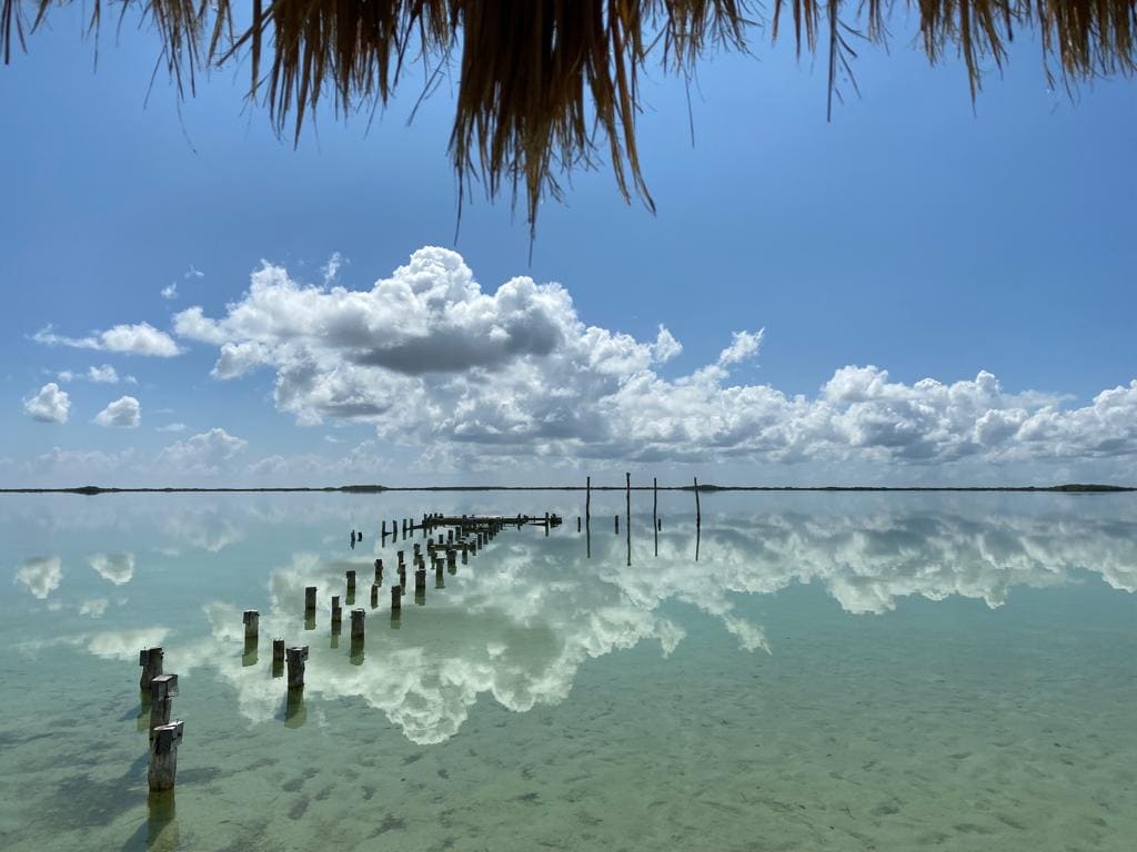 Tulum, Laguna Nopalitos, QRoo en José María Pino Suárez, Quintana Roo ...