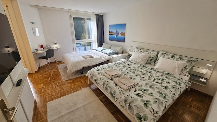 Pilatus View Premium Apartment - Lucerne