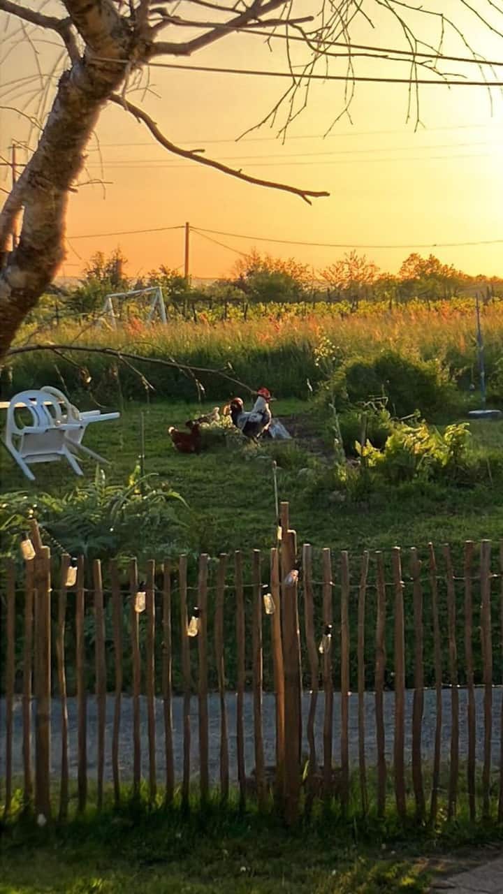 Grande Longère Du Xvieme Siècle - Saint-Macaire
