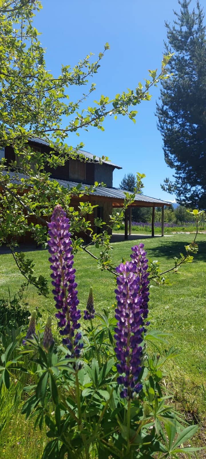 Cabaña Vista Al Piltriquitron - El Bolsón