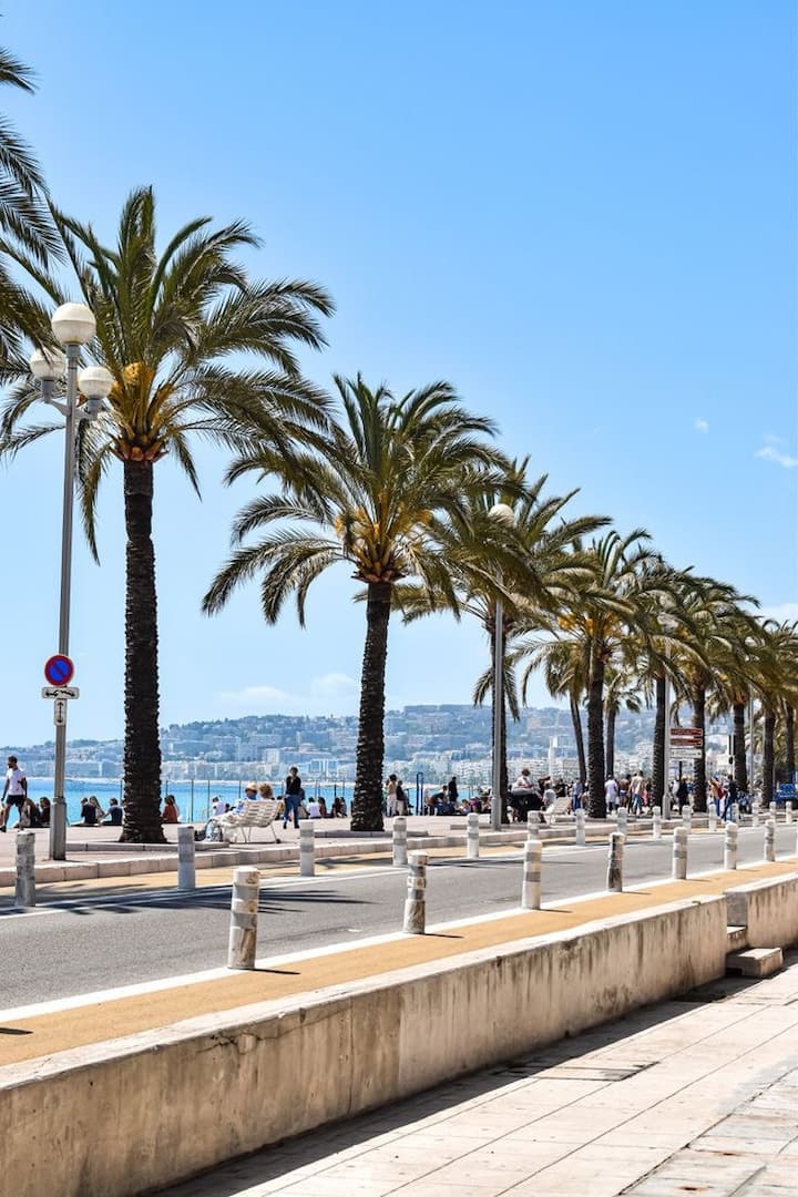 ~Appartement Deluxe, Charmant, Hyper Centre, #1~ - Nice