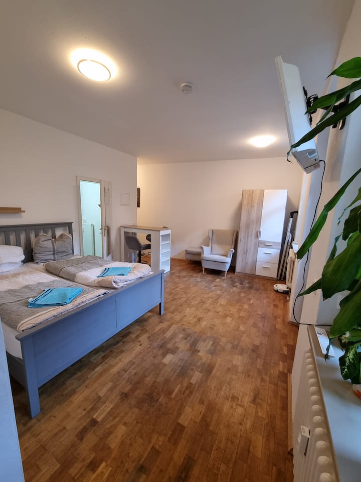 Lockeres Appartement Mit Außenbereich - 德累斯頓