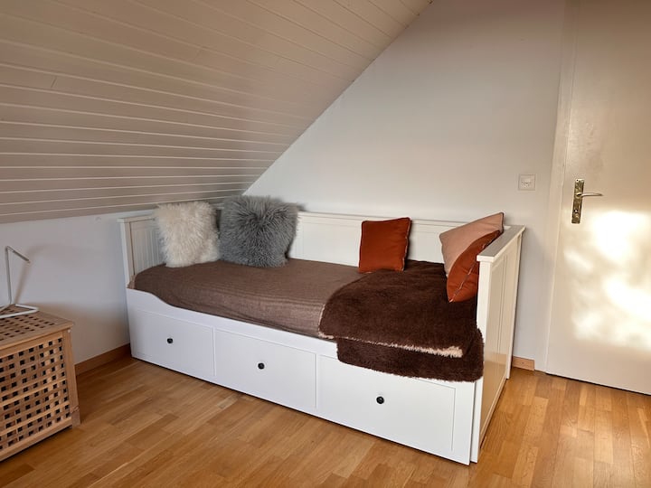 Double Room In The Center Of Lausanne - Lausanne