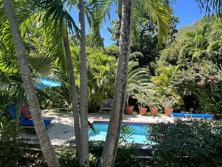 Artists' Studio - Coral Bay