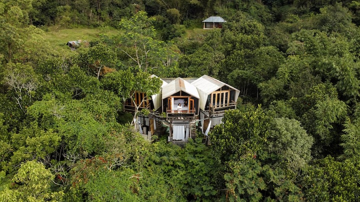 Sustainable Treehouse Cabin #1 - Kintamani