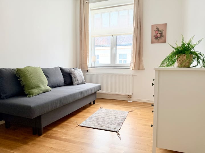 Cozy And Comfortable Apartment In City Centre - Riga