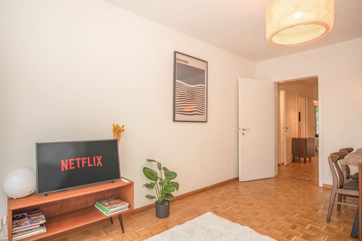 Central 2-bed Flat In City Center With Baselcard - Basel