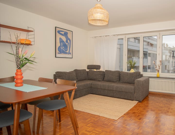 Central 2-bed Flat In City Center With Baselcard - Bâle