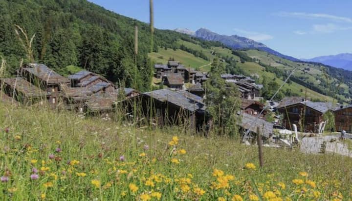 Valmorel - Appt Ppl18 - Pied Des Pistes 4-5 Pers. - Les Avanchers-Valmorel