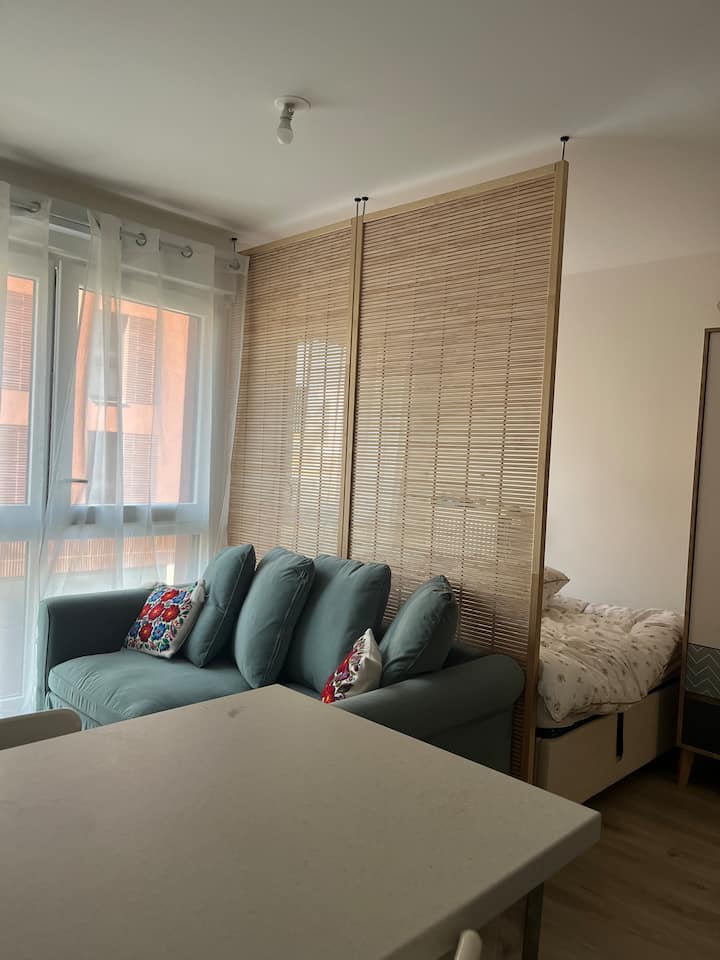 Grand Studio à Deux Pas De Paris ! - Romainville