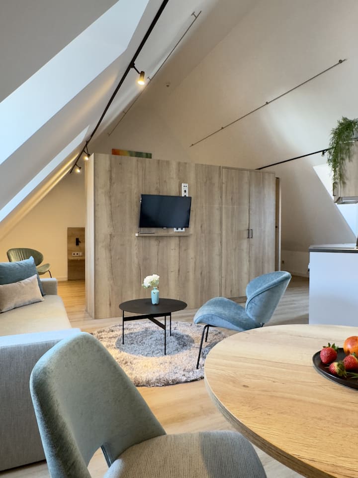 Serviced Apartment Large Ii #318 Blauer Wolf Rfl - Gunzenhausen