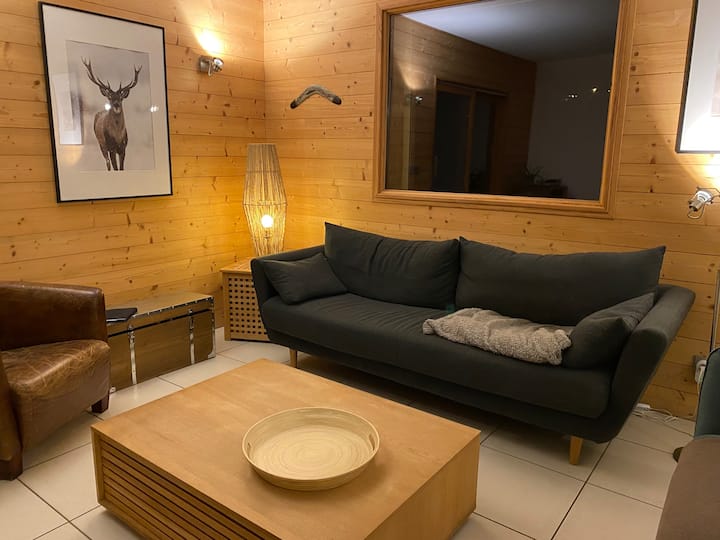 Chalet Face à La Tournette Et Proche Stations - Thônes