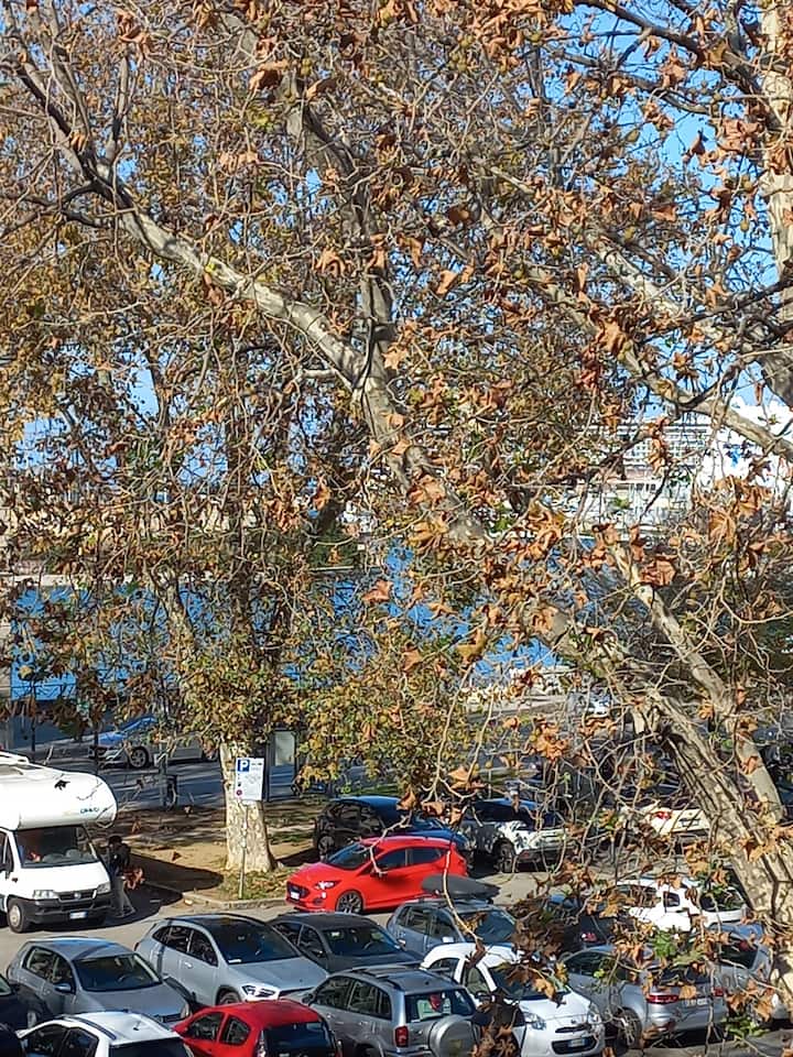 Casa Lola Una Finestra Nel Cuore Di Livorno - Livorno