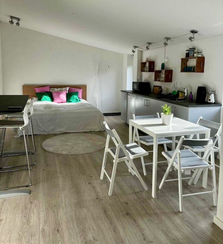 Etværelses Lejlighed I Vejgaard C - Denmark