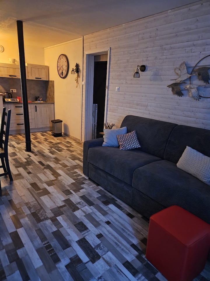 Appartement Meublé Aux Pieds Des Pistes De 34 M² - Vercors