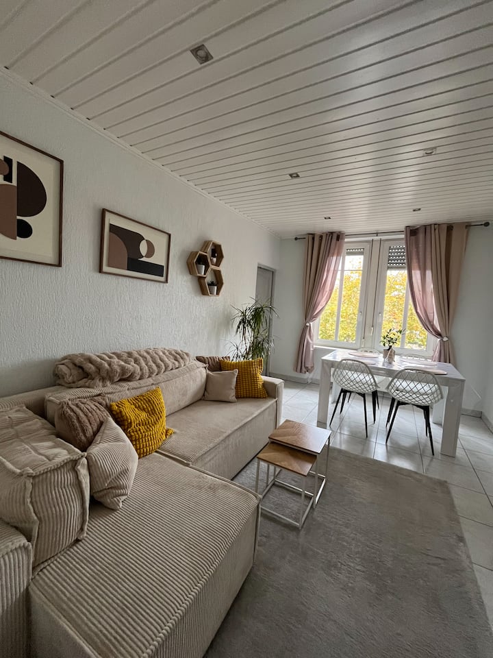 Magnifique T3 à Proximité Du Centre De Colmar - Colmar