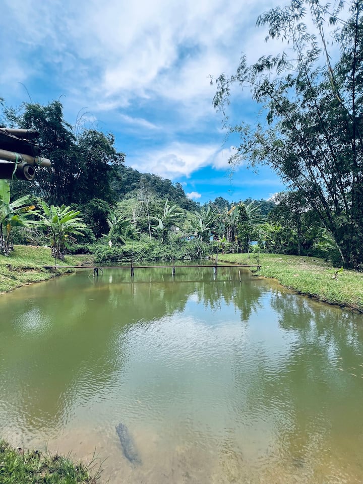 California Farm | Experience The Nature By Camping -