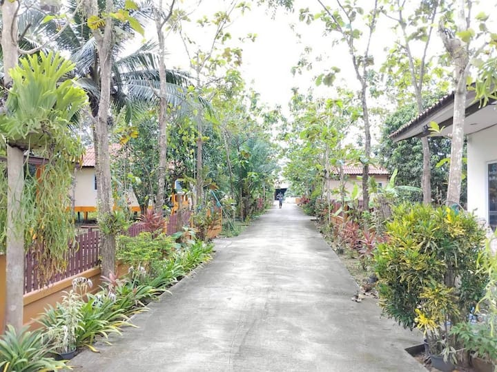 Srisuk's House (บ้านศรีสุข) Near Raja Ferry  Samui - Koh Samui