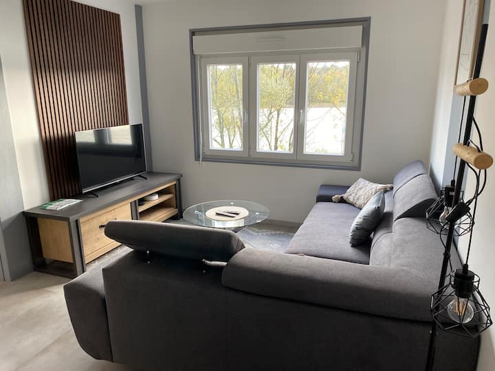 Maison "Les Cygnes" Face Au Lac - Langres