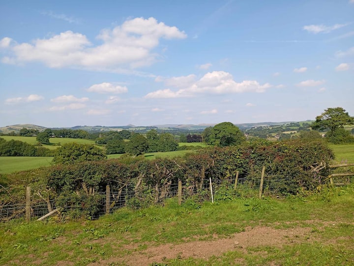 The Golden Fleece. - Leek