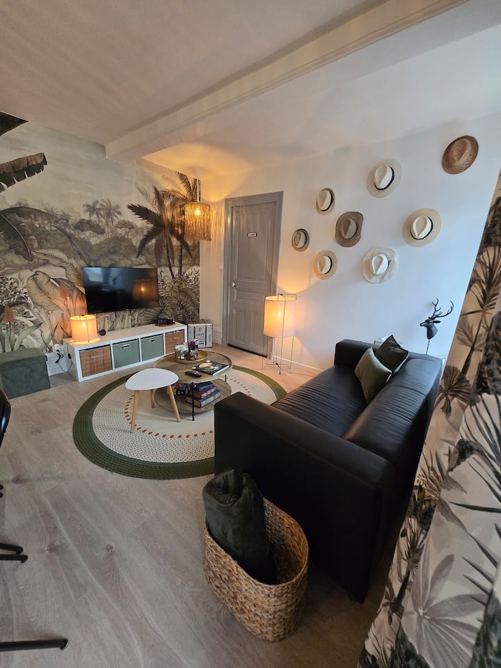 Petit Cocon En Centre-ville. Parking Public à 50m. - Chalon-sur-Saône