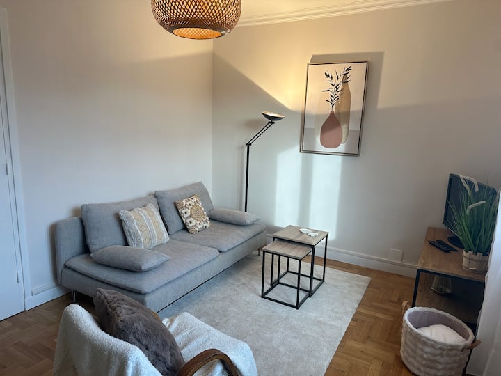 T2 Cosy Villeurbanne, Part-dieu, Grand Stadium - Villeurbanne