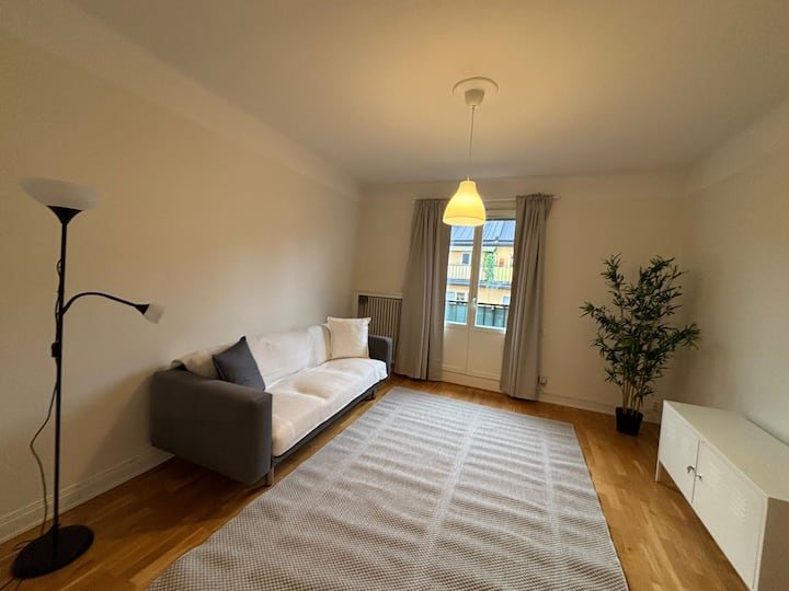 Central Charm Apartment - Stockholm