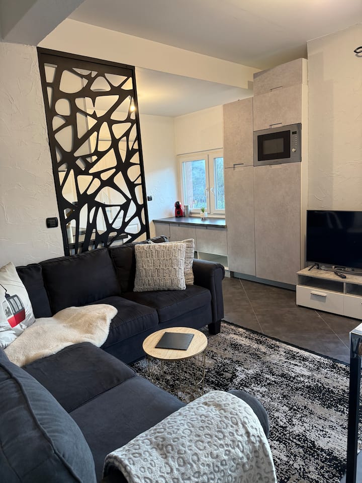 Sous Le Regard Des Montagnes Cocon Chaleureux - Sallanches