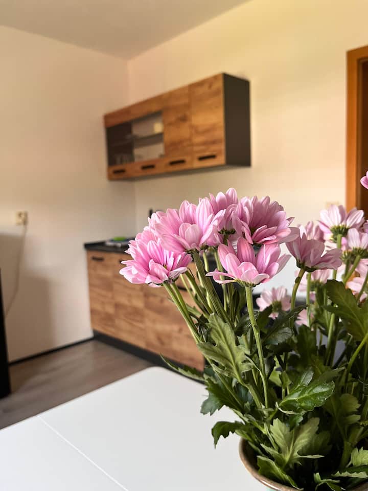 Ferienwohnung Im Herzen Europas - Zittau