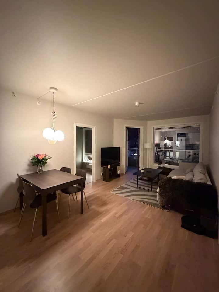 Moderne Og Sentral 3-roms Leilighet M/balkong - Oslo