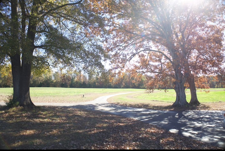 Grandma’s Place - Metro Richmond Zoo, Moseley