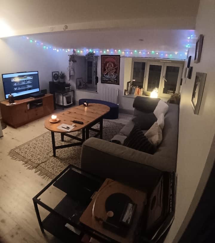 Appartement Au Cœur De Lyon - Parc de Gerland - Lyon