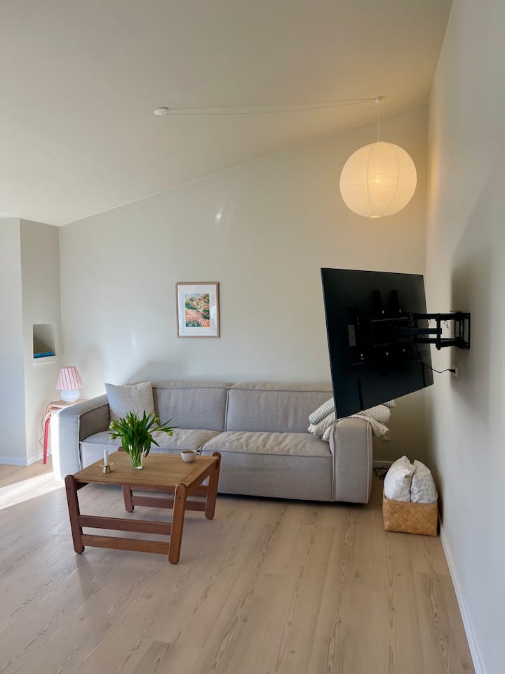 Nyrenoveret Rækkehus I Odense M - Odense