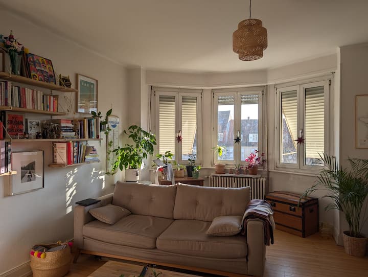 Charmant Appartement Lumineux Proche Centre-ville - Strasbourg