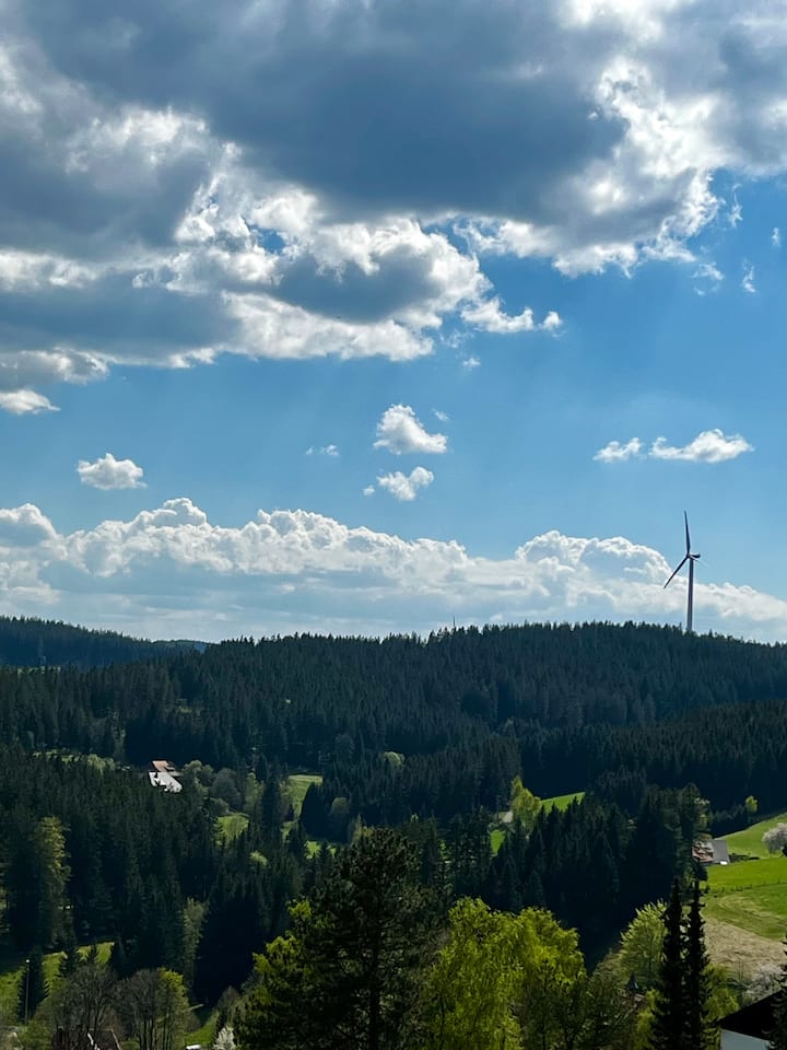 Fewo Kuckucksnest, Hallenbad, Sauna, Panoramablick - Simonswald