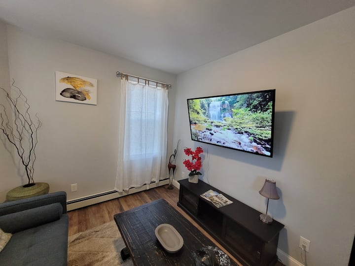 The Dymo-suite At Mt. Pleasant | Ldry+"p" Wifi 2br - Providence, RI
