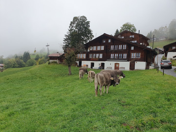 Rustikales Chalet Mit Charme&holzofen Am Hasliberg - Meiringen