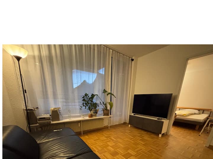 Stadtwohnung In Einem Ruhigen Quartier - Bern