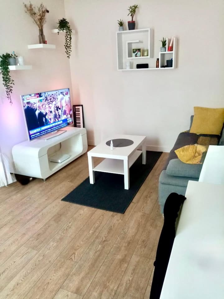 Superbe Appartement Dans Superbe Ville - Le Raincy