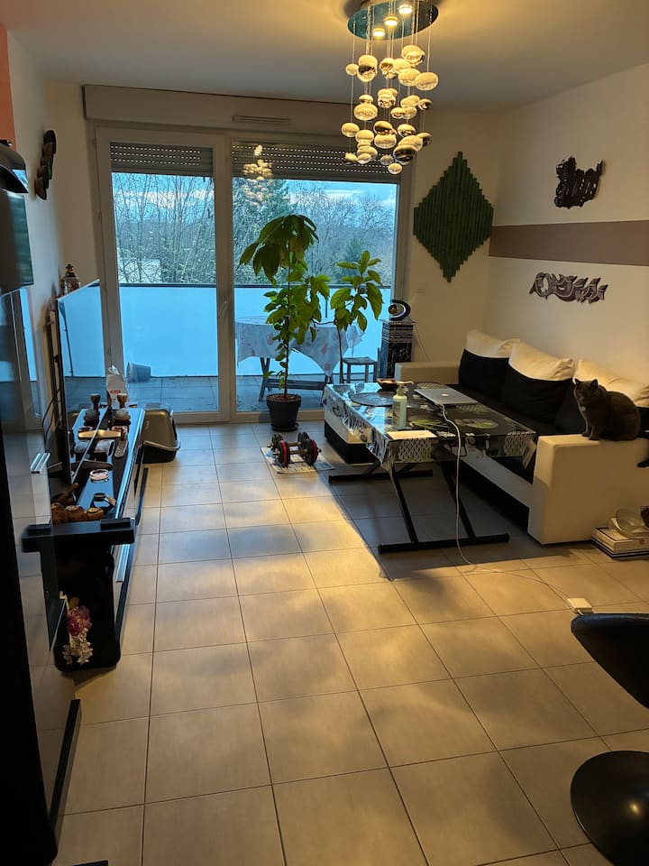 Appartement T2 - Saint-Cyr-au-Mont-d'Or