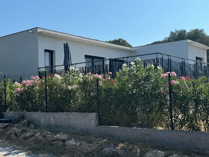 Belle Villa Calme Avec Superbe Piscine - Figari