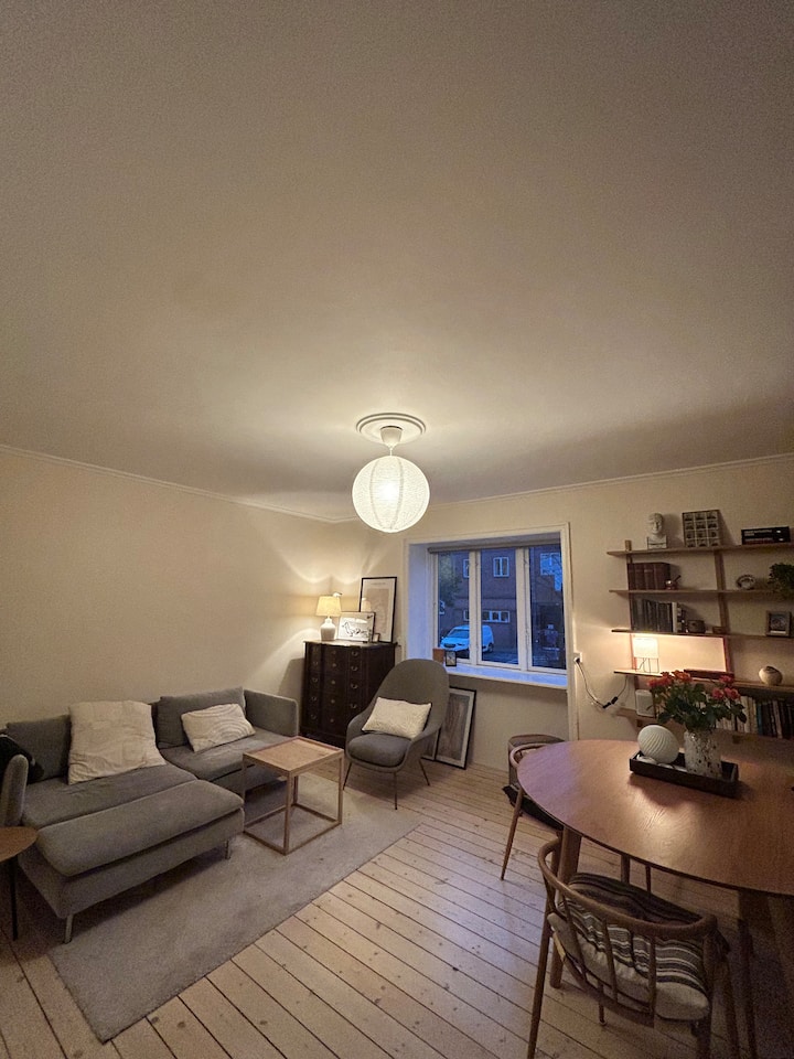 Hyggelig Leilighet På Amager - Copenhagen Airport (CPH)