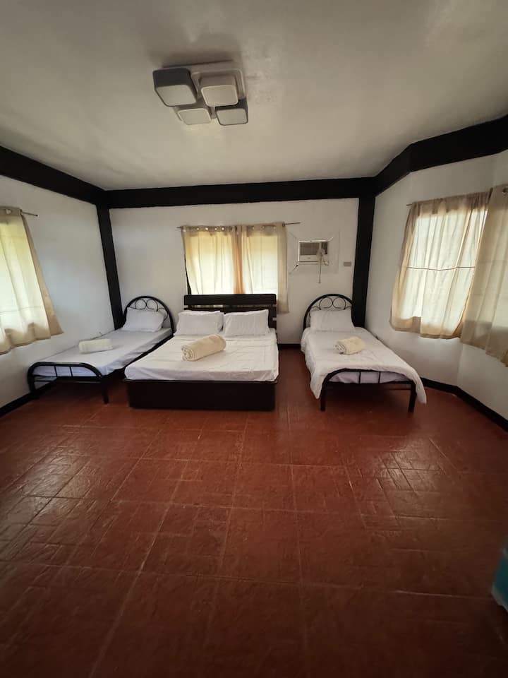 Onlyone Transient - Masinloc