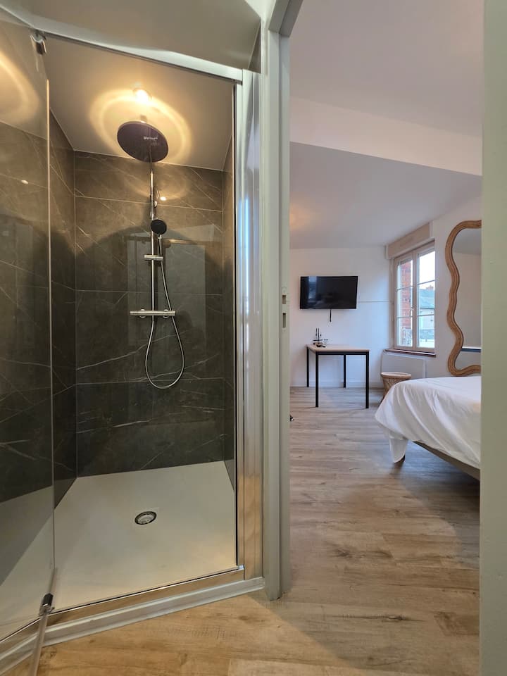 Au Fil De L'eau 11 - Bord De Moine En Hyper Centre - Cholet