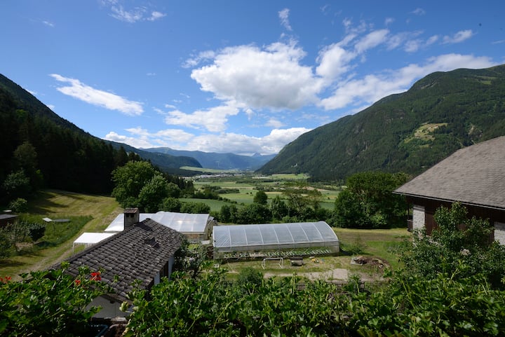 Felderhof -Bio - Bruneck