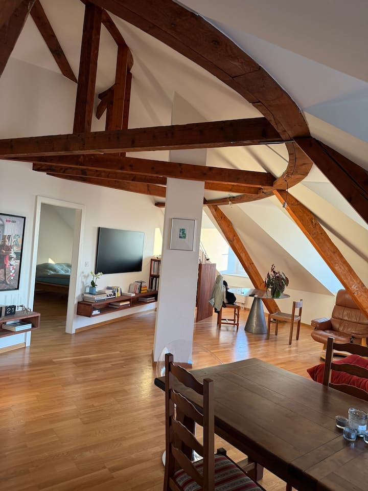 Charmant Appartement Sous Le Toit - Canton de Vaud