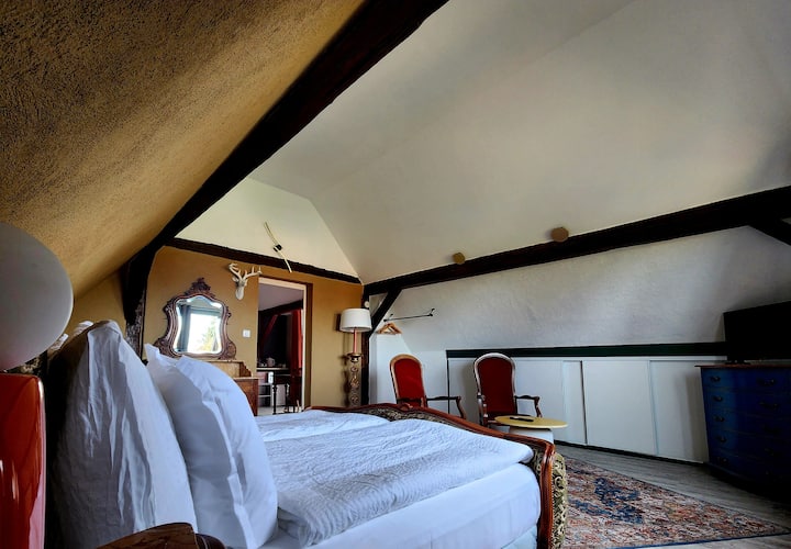 Chambre D'hôte Au Cœur De L'alsace ! - Alsace