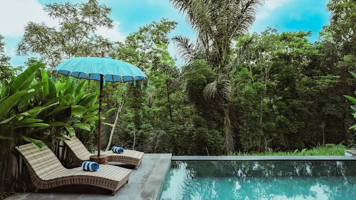New | Jungle Valley View 1 Br With Infinity Pool - Indonesia
