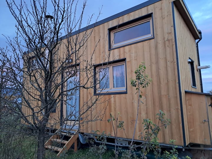 Hébergement Tout En Bois Entre Vignes Et Montagnes - Wattwiller